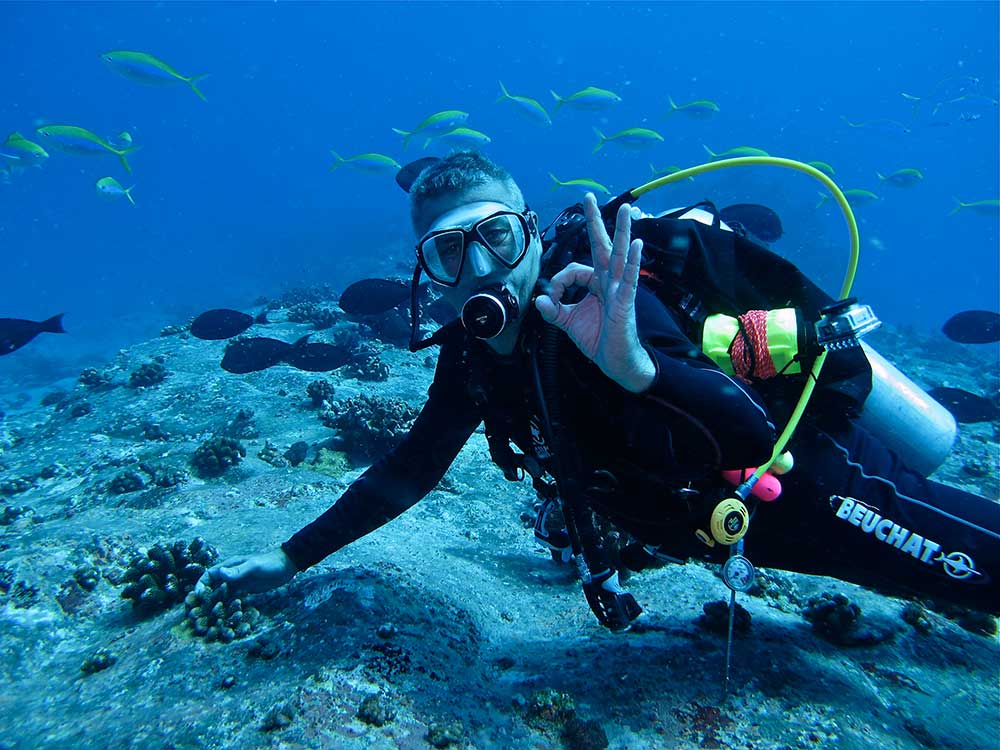 Descopera vacante de vis in Seychelles la bordul unei ambarcatiuni ...